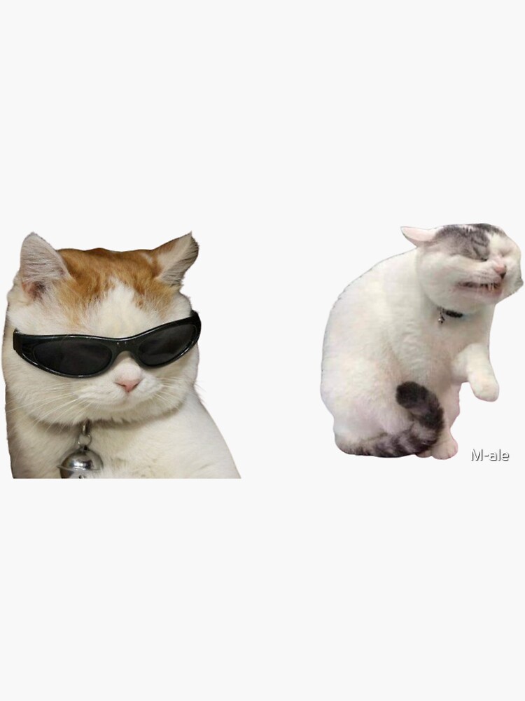 "Funny Memes of Cats Volume 1 Ep 3" Sticker by M-ale | Redbubble