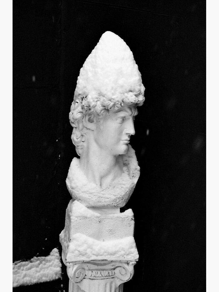 "Dunce" Sticker for Sale by DanaRos | Redbubble