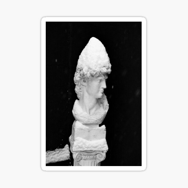 "Dunce" Sticker for Sale by DanaRos | Redbubble