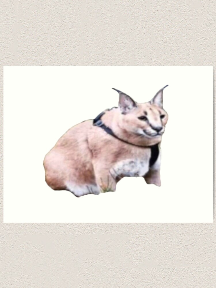 "Wide Floppa" Art Print for Sale by popoadrian | Redbubble