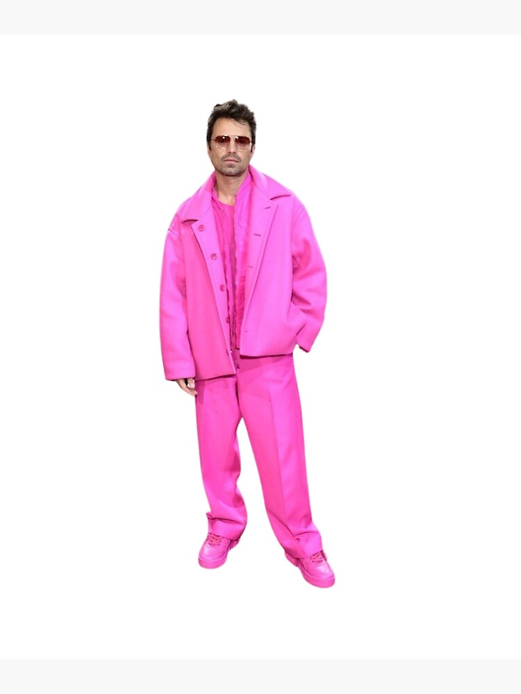 "Sebastian Stan all pink met gala " Poster by prianart | Redbubble