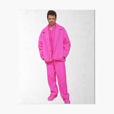 "Sebastian Stan all pink clothes met gala " Art Board Print by prianart ...