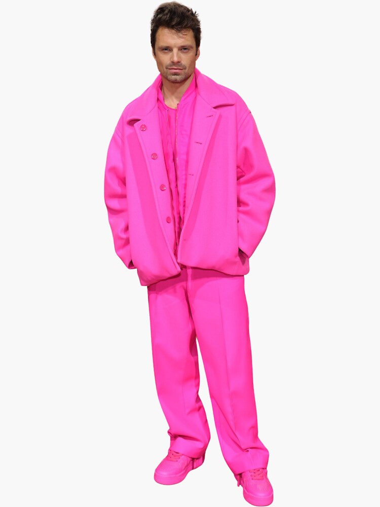"Sebastian Stan all pink clothes met gala " Sticker by prianart | Redbubble