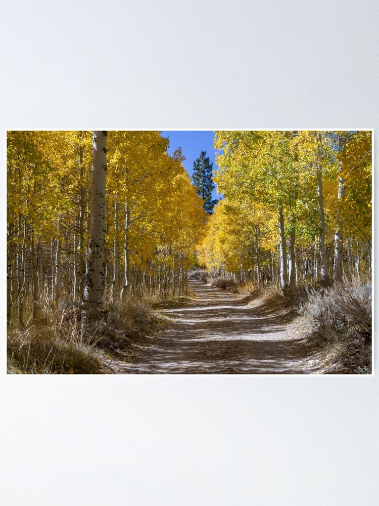 "Autumn in the Eastern Sierra" Poster for Sale by RichardThelen | Redbubble