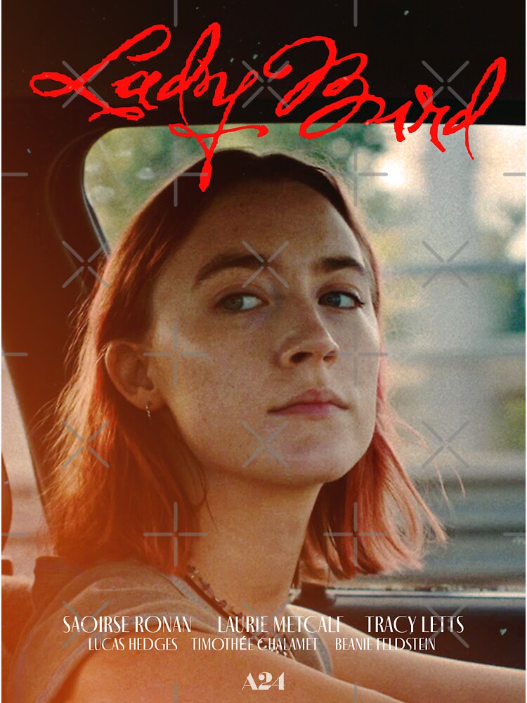 "Lady Bird Movie" Sticker by Valtellz | Redbubble