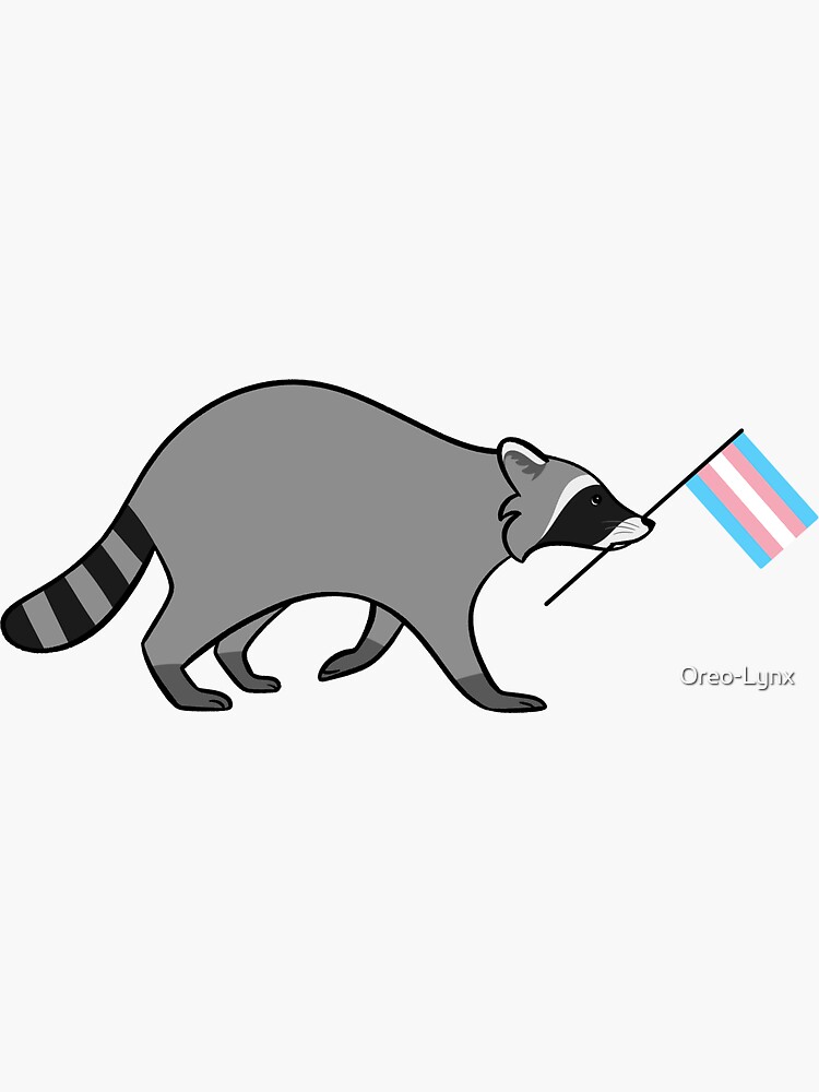 "Transgender Pride Raccoon" Sticker for Sale by Oreo-Lynx | Redbubble