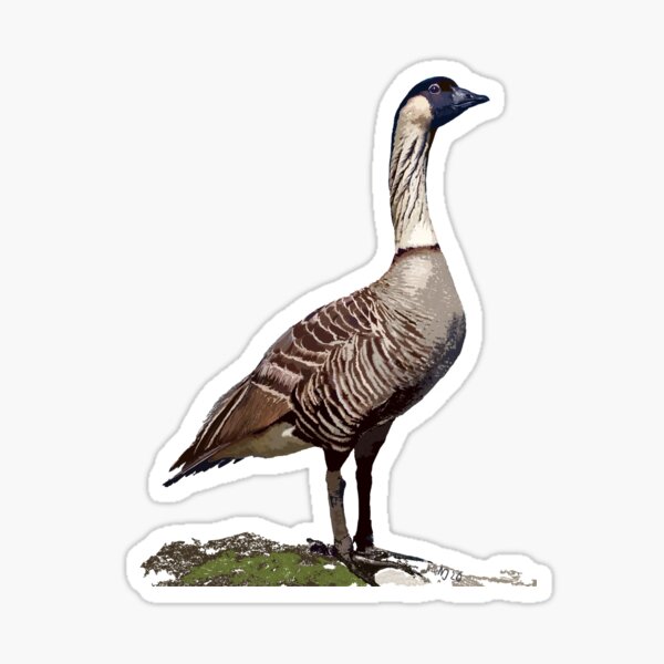 "Nēnē, the Hawaiian Goose" Sticker for Sale by NadJac | Redbubble
