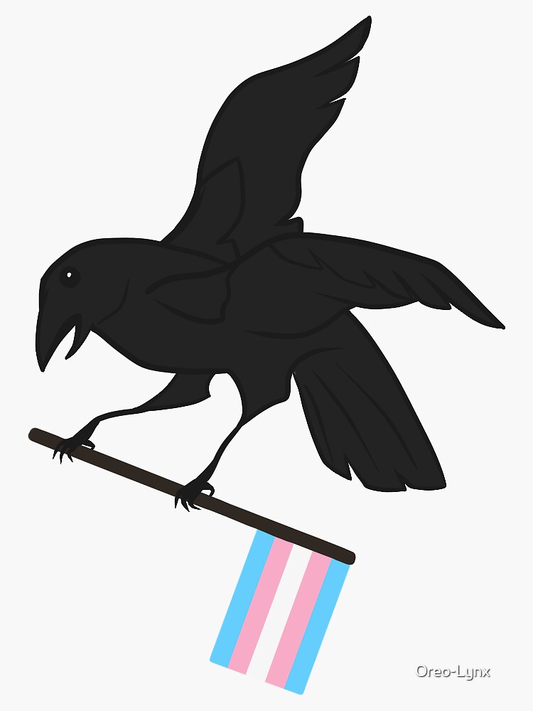 "Transgender Pride Crow" Sticker by Oreo-Lynx | Redbubble