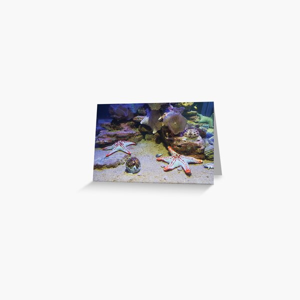 "Unda Da Sea 3" Greeting Card by baldbrothersart | Redbubble