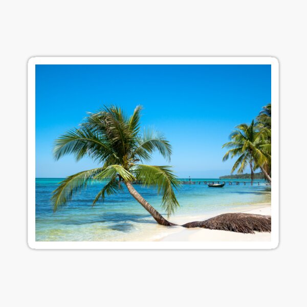 "Palm" Sticker for Sale by marygov | Redbubble