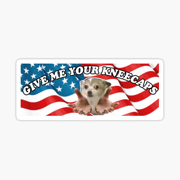 "Give Me Your Kneecaps Bumper Sticker" Sticker by suhhruhh | Redbubble