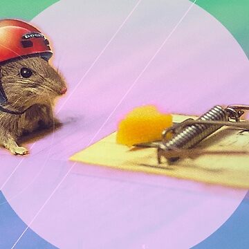 "Mouse with helmet attempting to get cheese out of a mouse trap ...