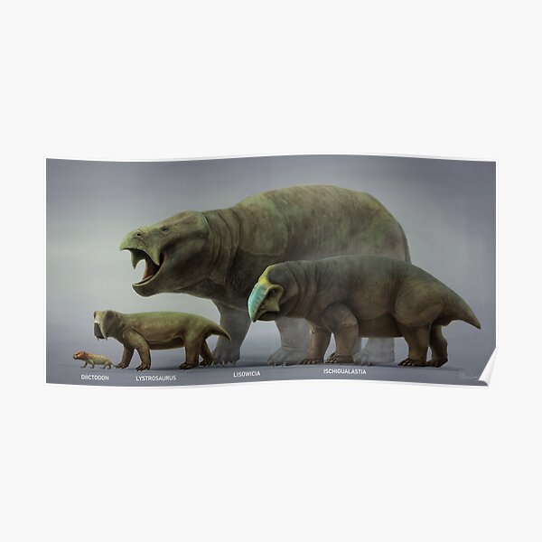 "DICYNODONTIA. Dicynodont Synapsids chart. paleoart" Poster by ...