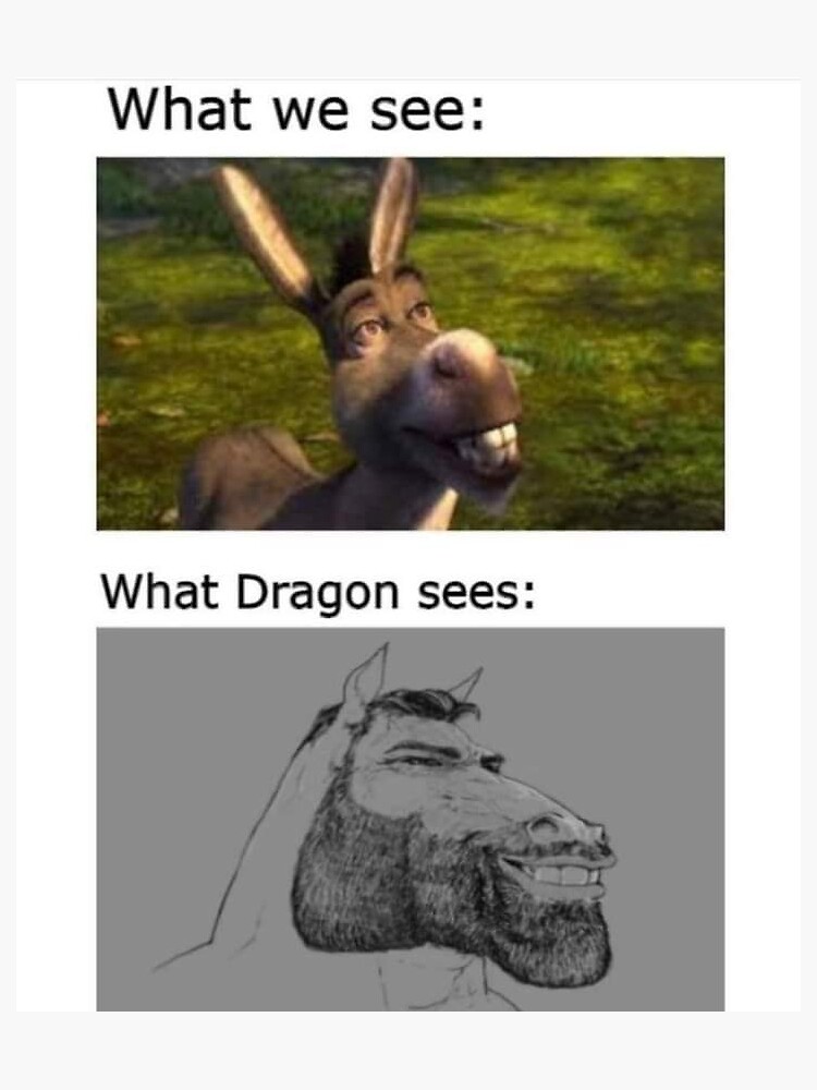 Pegatina «Meme del burro de Shrek» de Faike | Redbubble