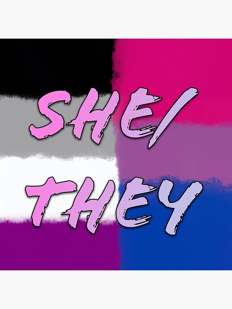 "She/They Asexual Biromantic Pronoun flag" Poster for Sale by ...