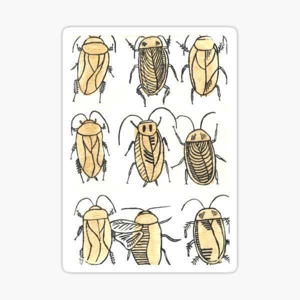 "Cockroaches on Parchment" Sticker by LaurenBeezer | Redbubble
