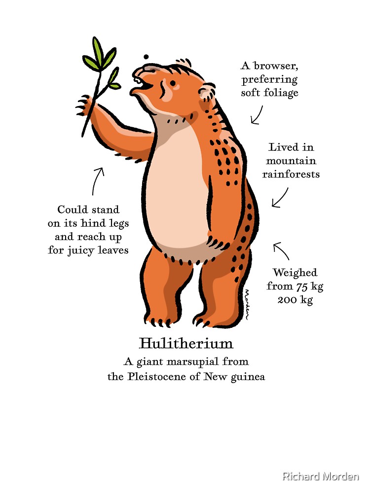 Hulitherium A Giant Wombat Of Ice Age New Guinea Onesie