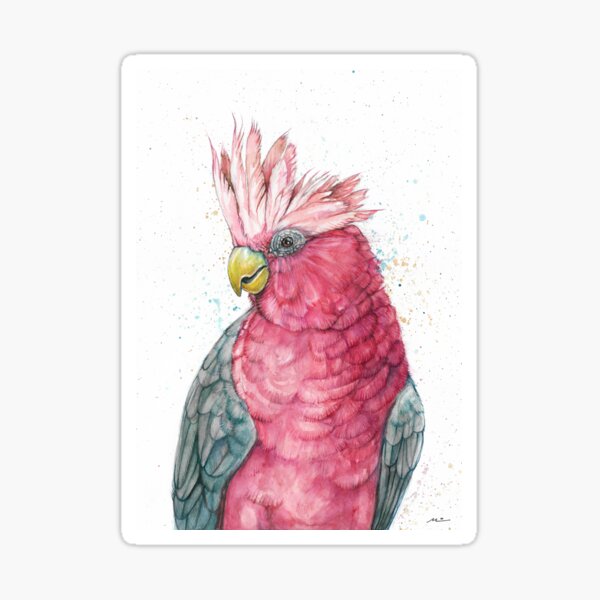 "The Magnificent Galah" Sticker by maricelagomez | Redbubble