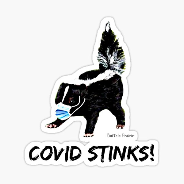 "Covid Stinks! Funny Skunk " Sticker for Sale by BuffaloPrairie | Redbubble