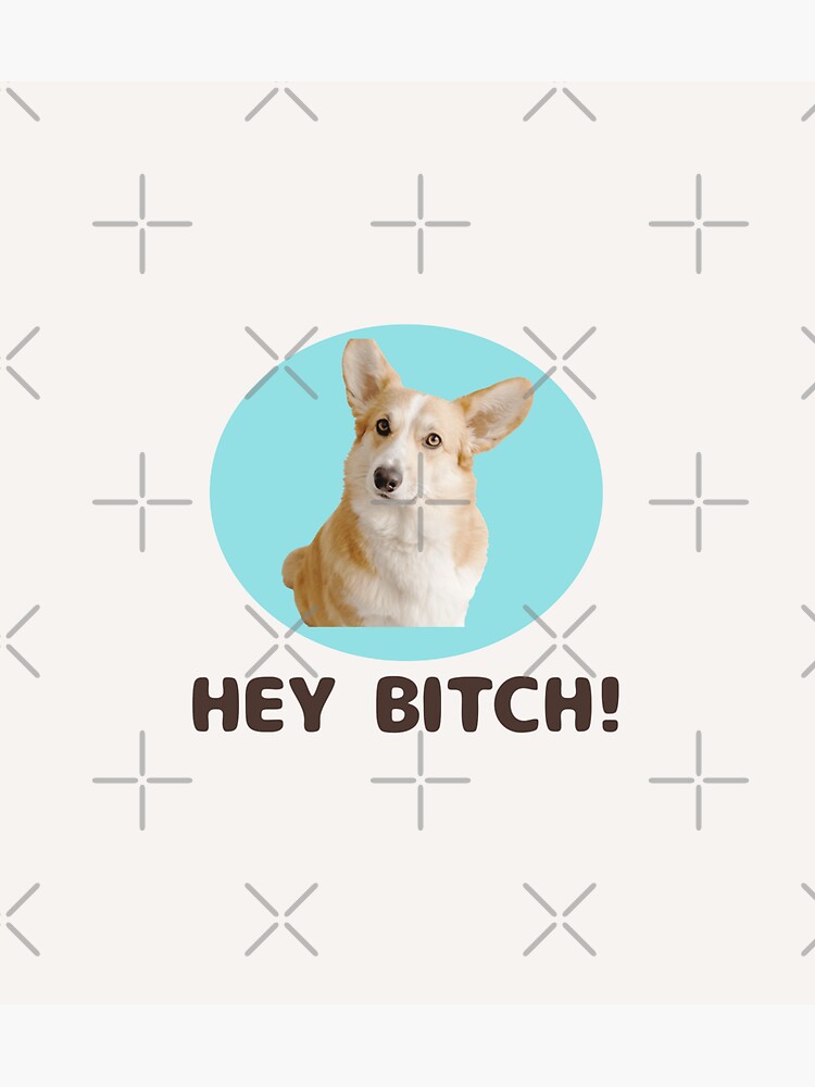 "Hey Bitch New Designs- funny" Sticker by ayesha70 | Redbubble