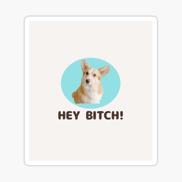 "Hey Bitch New Designs- funny" Sticker by ayesha70 | Redbubble