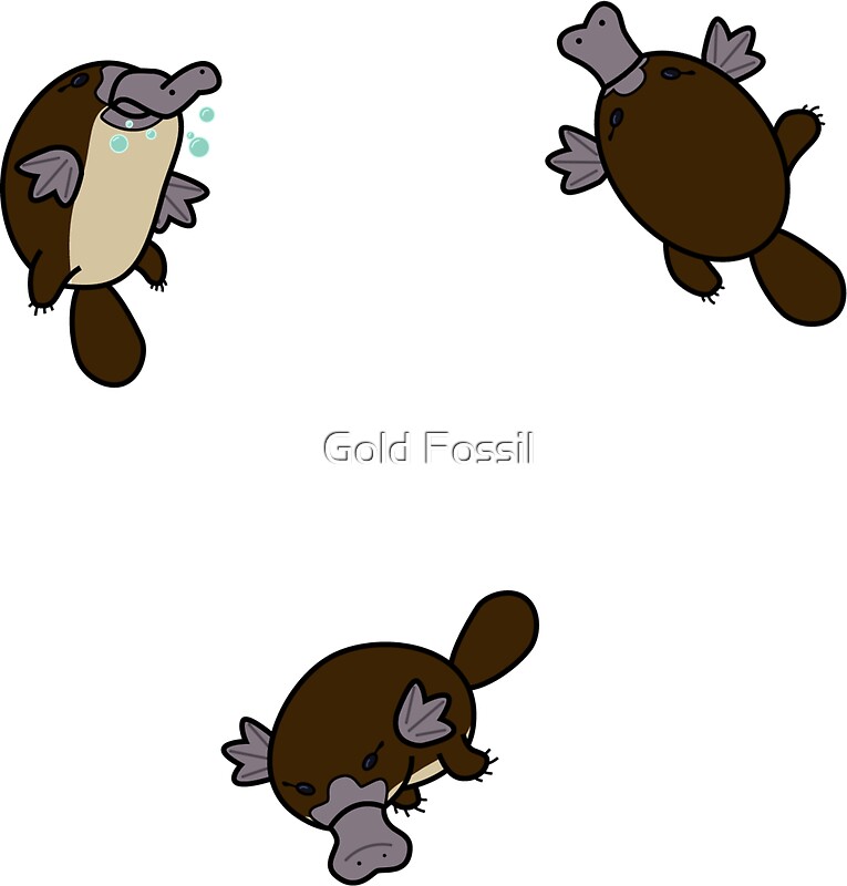 Platypus: Gifts & Merchandise | Redbubble