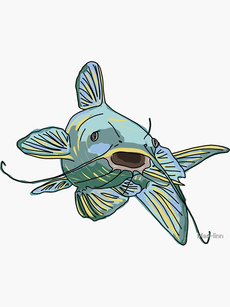"Blue catfish (Ictalurus furcatus)" Sticker by Meri-linn | Redbubble