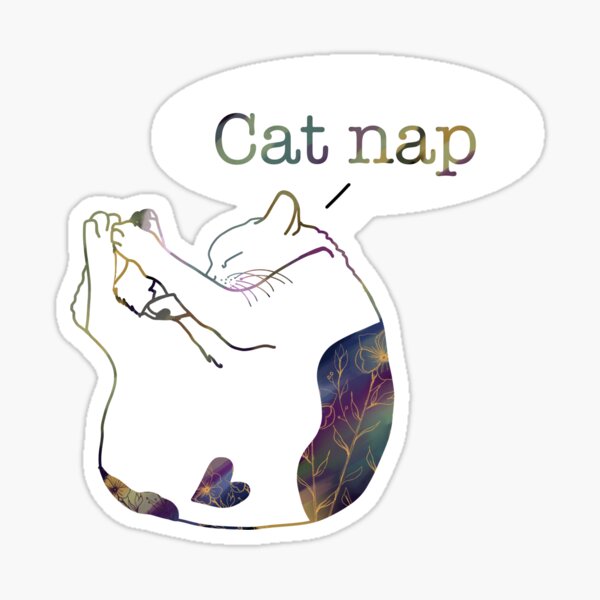"Cat nap rainbow watercolor line art" Sticker for Sale by lilbitwhimsy ...