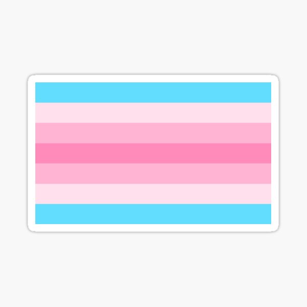 "Trans Woman Pride Flag" Sticker for Sale by porcupride | Redbubble