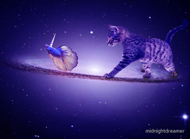 "Dreamscape Kitten Space Walk Sombrero Galaxy Chasing Unicorn Beta Fish ...