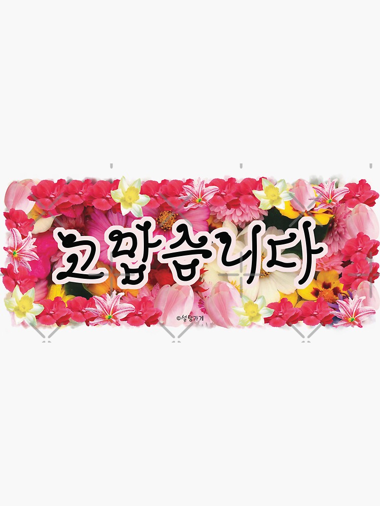 "Thank you in Korean, Gomapseumnida" Sticker by K-sugarstore | Redbubble