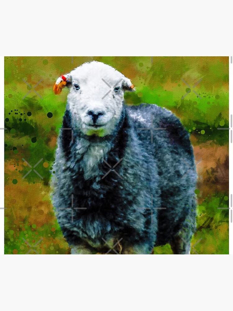 "Herdwick Sheep Oil Paint, Grey And White Herdwick Sheep, Herdwick Wool ...