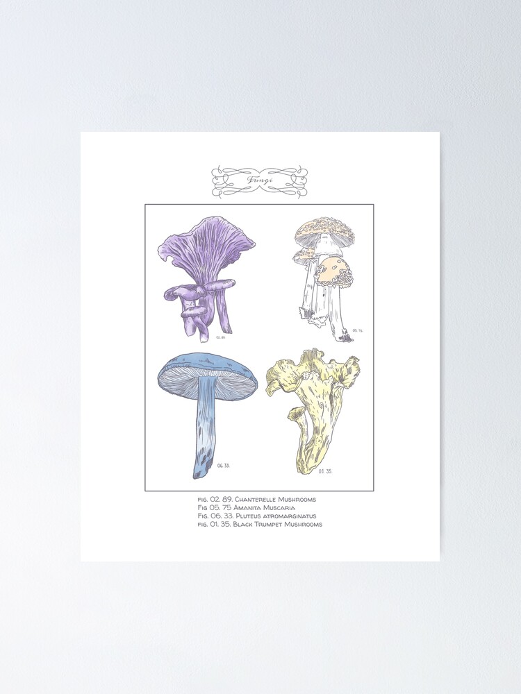 "Mushroom Mycology" Poster for Sale by Activartt | Redbubble