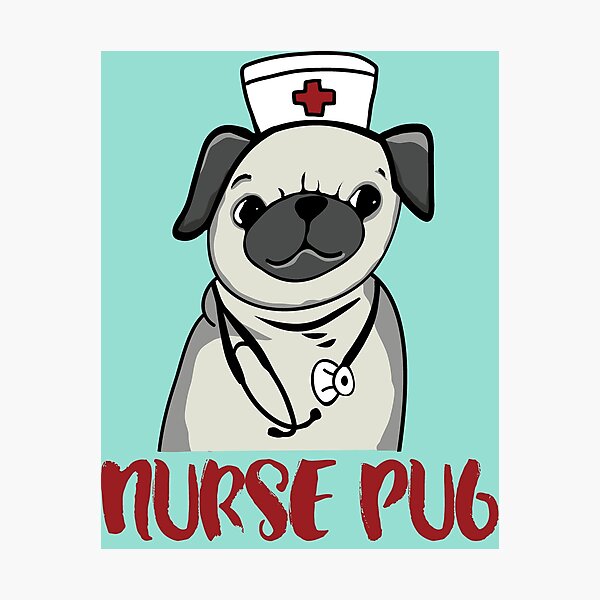 "Nurse Pug, pug, dog, pet, nursing, LVN, RN, nurse practitioner, pug ...
