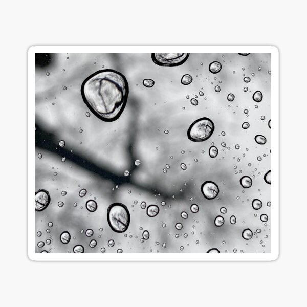 "Raindrops Picture, Waterdrops Picture" Sticker by Luca-Changretta ...