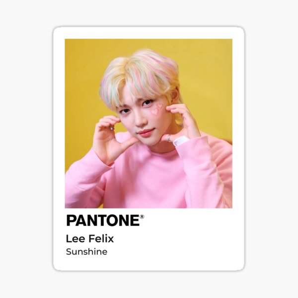 "Pantone Lee Felix Stray Kids" Sticker for Sale by malerfk09 | Redbubble