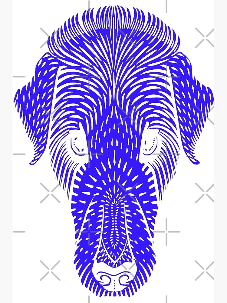 "Unique Artistic Dog's Head with a Long Nose: Edited Dog's Head (1920 ...