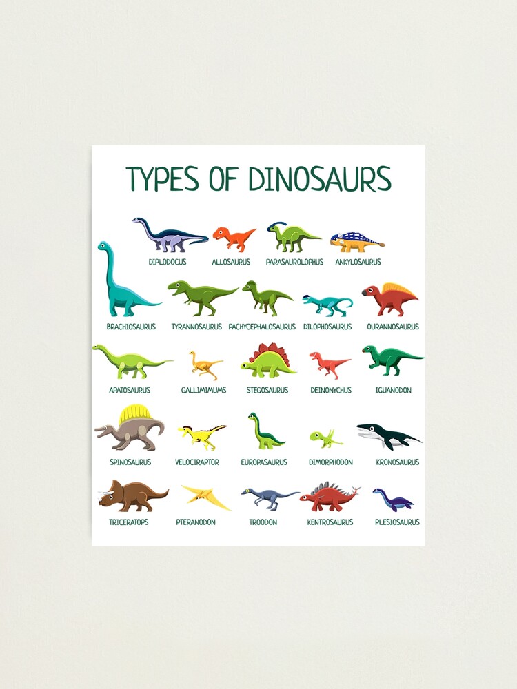 Identification Des Dinosaures