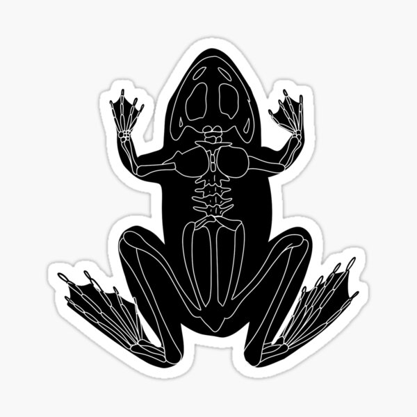 "Frog Skeleton" Sticker for Sale by SoterPop00 | Redbubble
