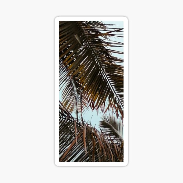 "Palms at the beach " Sticker by Arrow-Widow7 | Redbubble