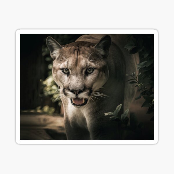"Puma Oil Painting" Sticker by allmycreations | Redbubble