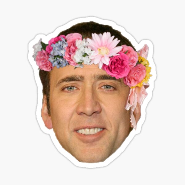 "Nicolas Cage" Sticker by merlingiuslionu | Redbubble