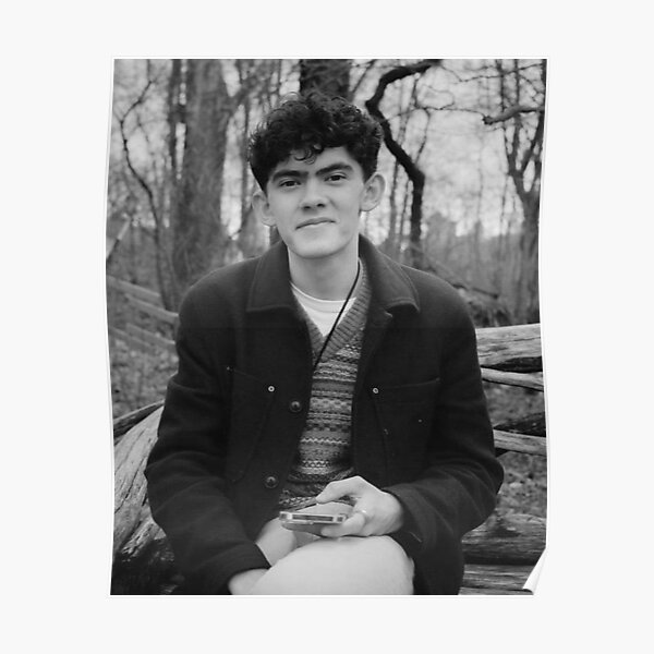 "Joe Locke Poster Poster, Gift For Boyfriend Poster Poster, Joe Locke ...