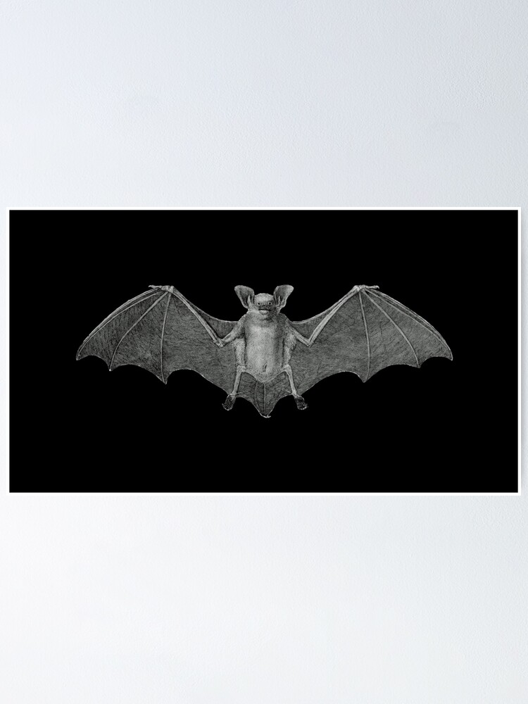 "The Bat" Poster for Sale by boltjesdesign | Redbubble