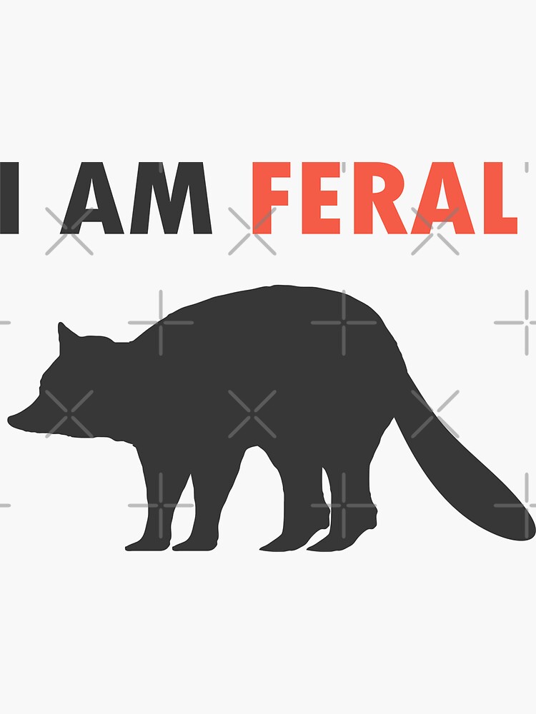 "I Am Feral: Funny Quote Raccoon" Sticker by RYUK20 | Redbubble