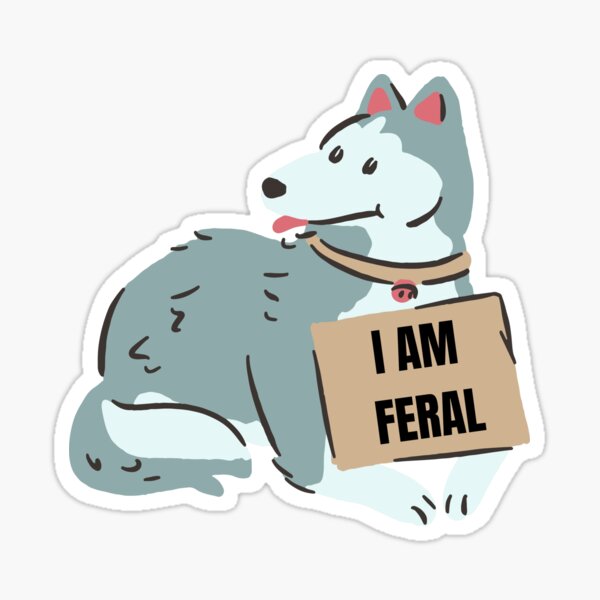 "I am feral - design for drivers and dog lovers, funny" Sticker for ...