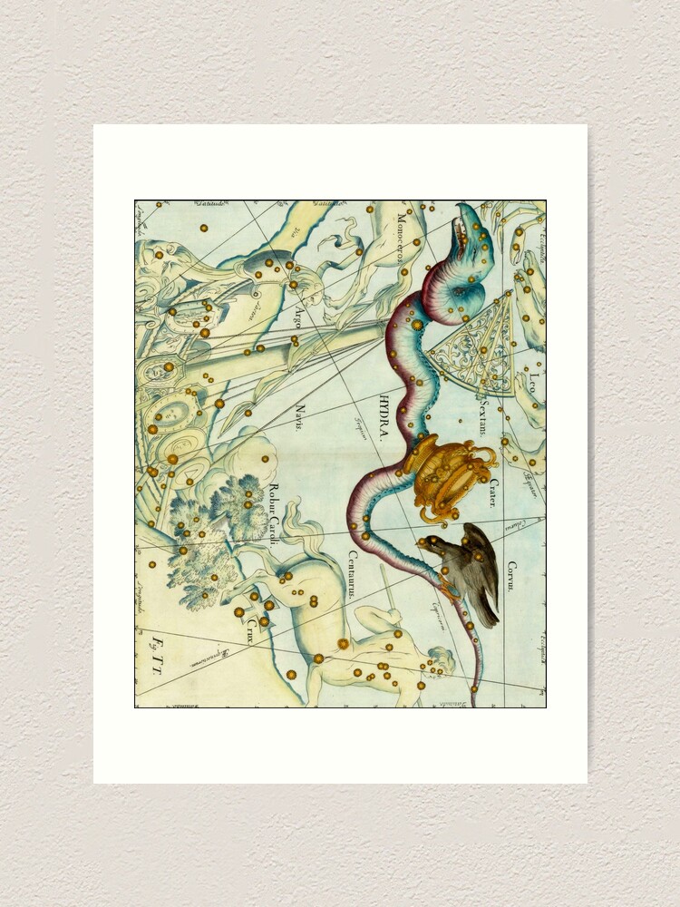 "Antique Hydra Constellation Map" Art Print for Sale by jadeandjester ...