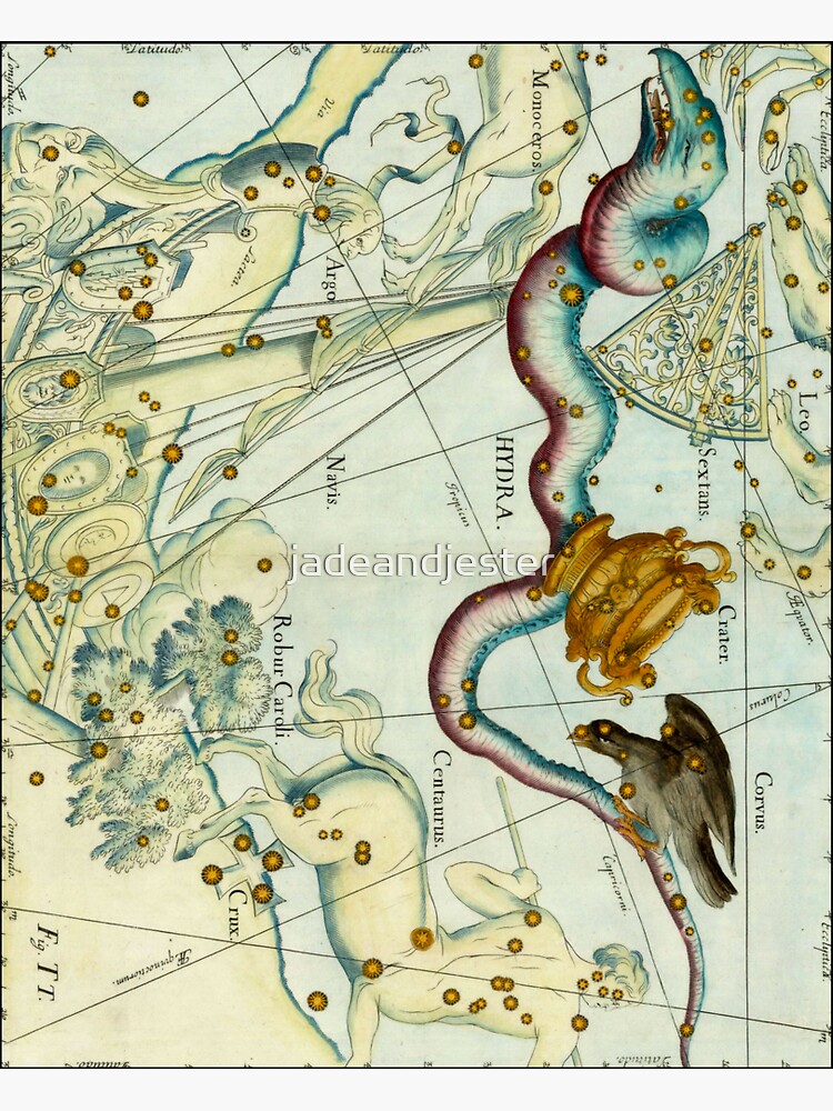 "Antique Hydra Constellation Map" Sticker by jadeandjester | Redbubble