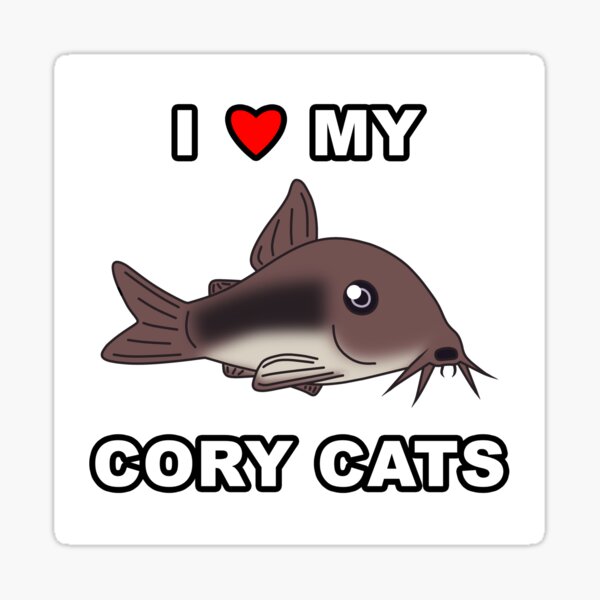 "I Love My Bronze Cory Catfish" Sticker for Sale by KiskaAgina | Redbubble