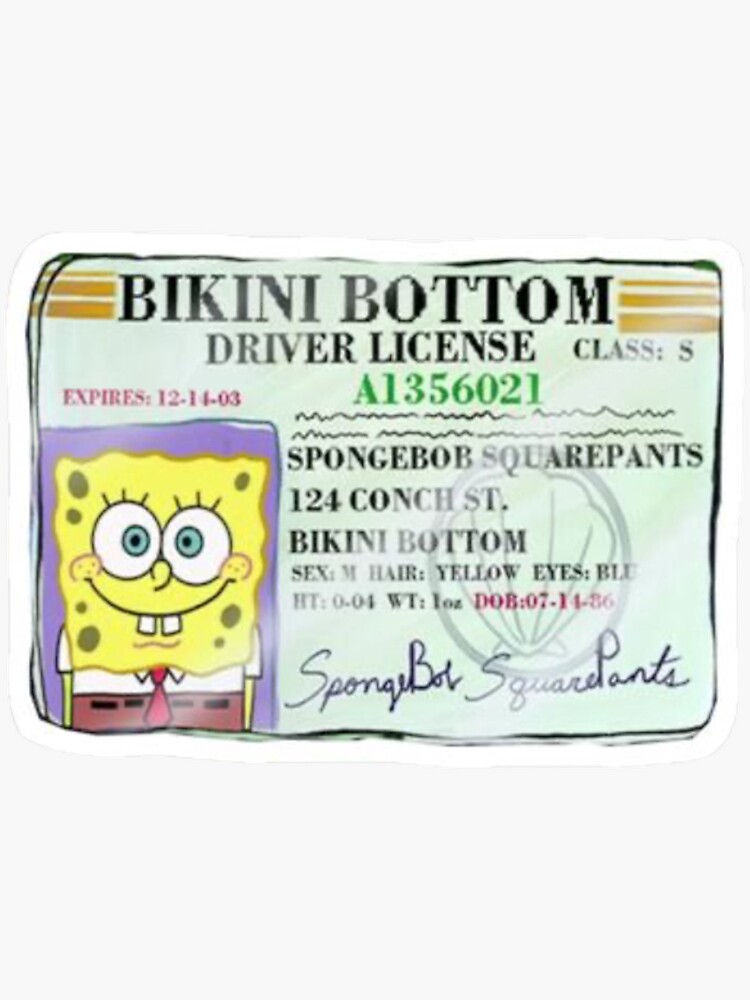 "spongebob's driver's license " Sticker for Sale by Linkbymia | Redbubble